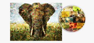 What is a photo mosaic? | History of the Photographic Mosaic